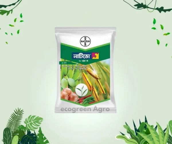 Nativo 75 WG Fungicide – ECO Green BD